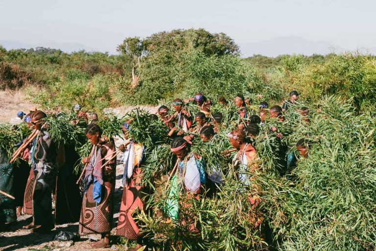 From Fighting Depression To Amassing USD 2 Mn Fortune: The Zed Farmer's ...