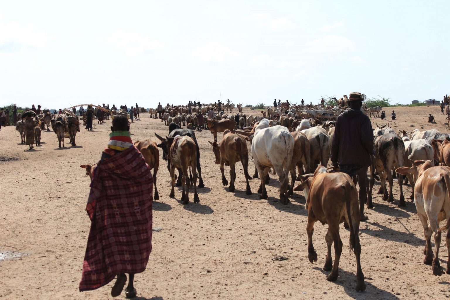 Nigerian Government Turns Venture Capitalist As State Funds Flock To ...