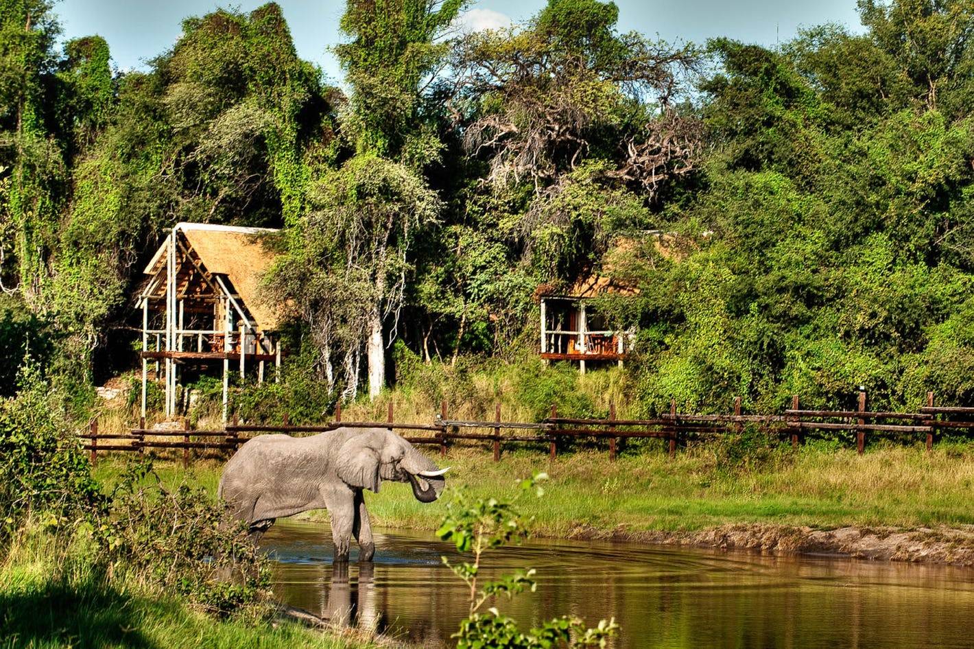 Botswana Is The Best African Safari Experience Despite Being Landlocked